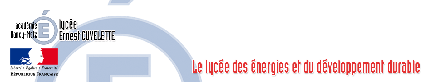 Le lycée Cuvelette de Freyming-Merlebach fait sa « promo » au Cora de ... Le lycée Cuvelette de Freyming-Merlebach fait sa « promo » au Cora de ...